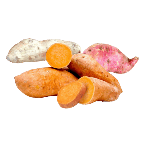 Camote – Alimentos Bolivia